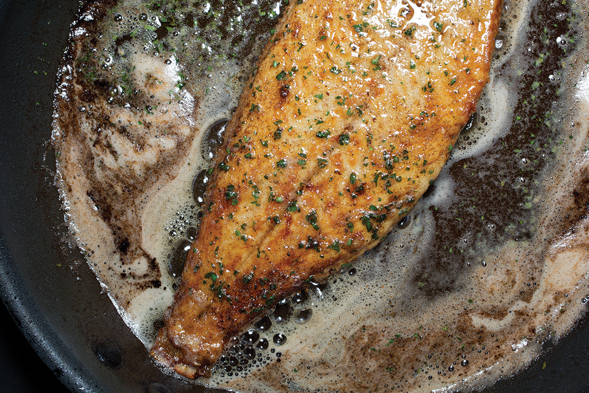 Gamba Cookbook - Sevenfive